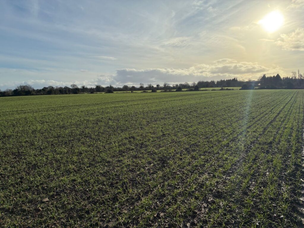 Clonshanbo, Donadea, Co. Kildare – approx. 78.33 acres of top-quality ...