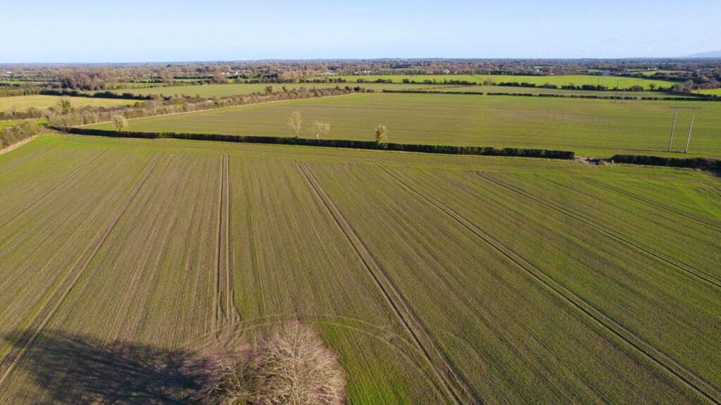 Clonshanbo, Donadea, Co. Kildare – approx. 78.33 acres of top-quality ...
